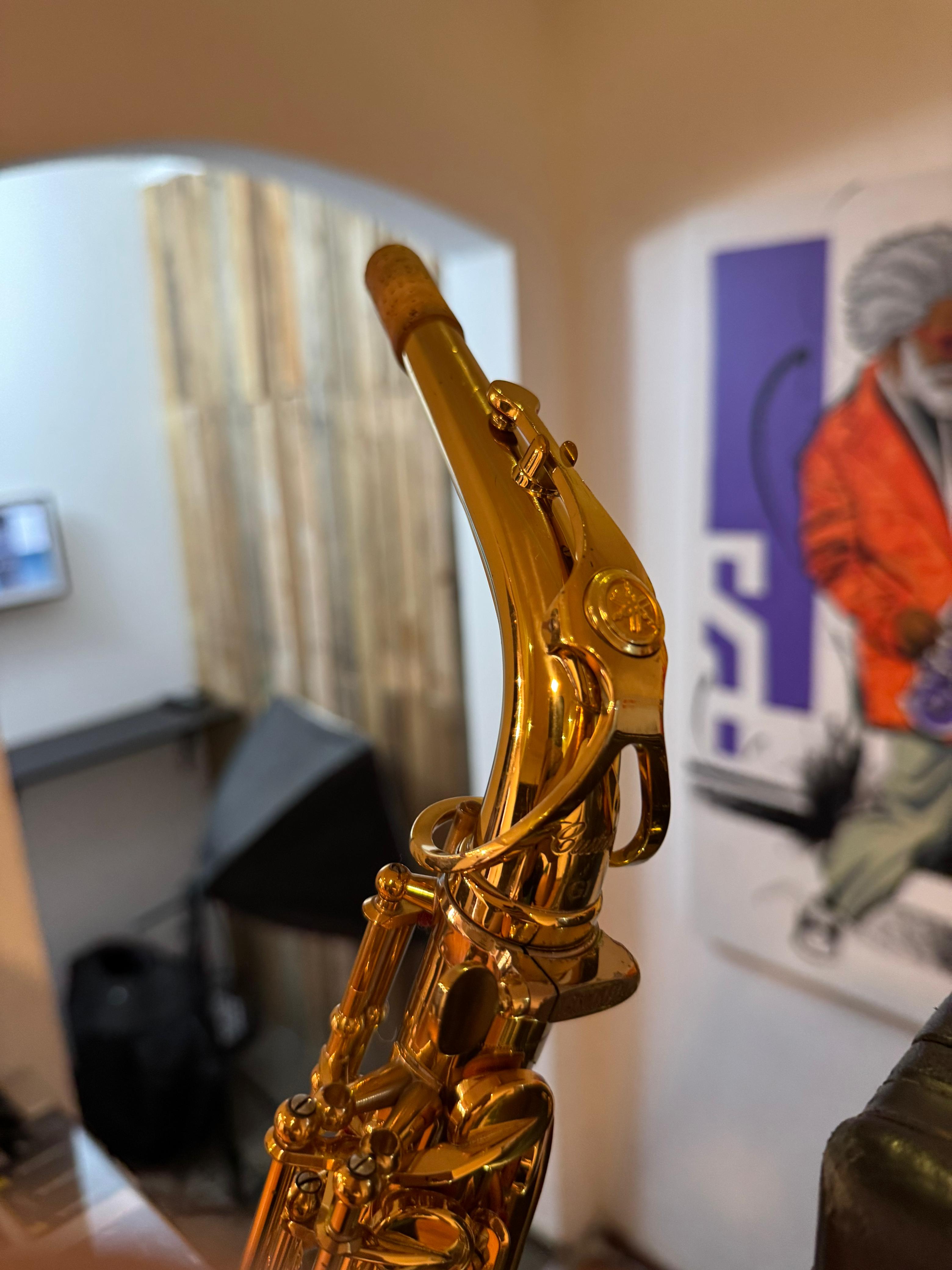 Saxofone Alto Yamaha 875 Ex - Usado - SaxShop - A casa do Saxofonista