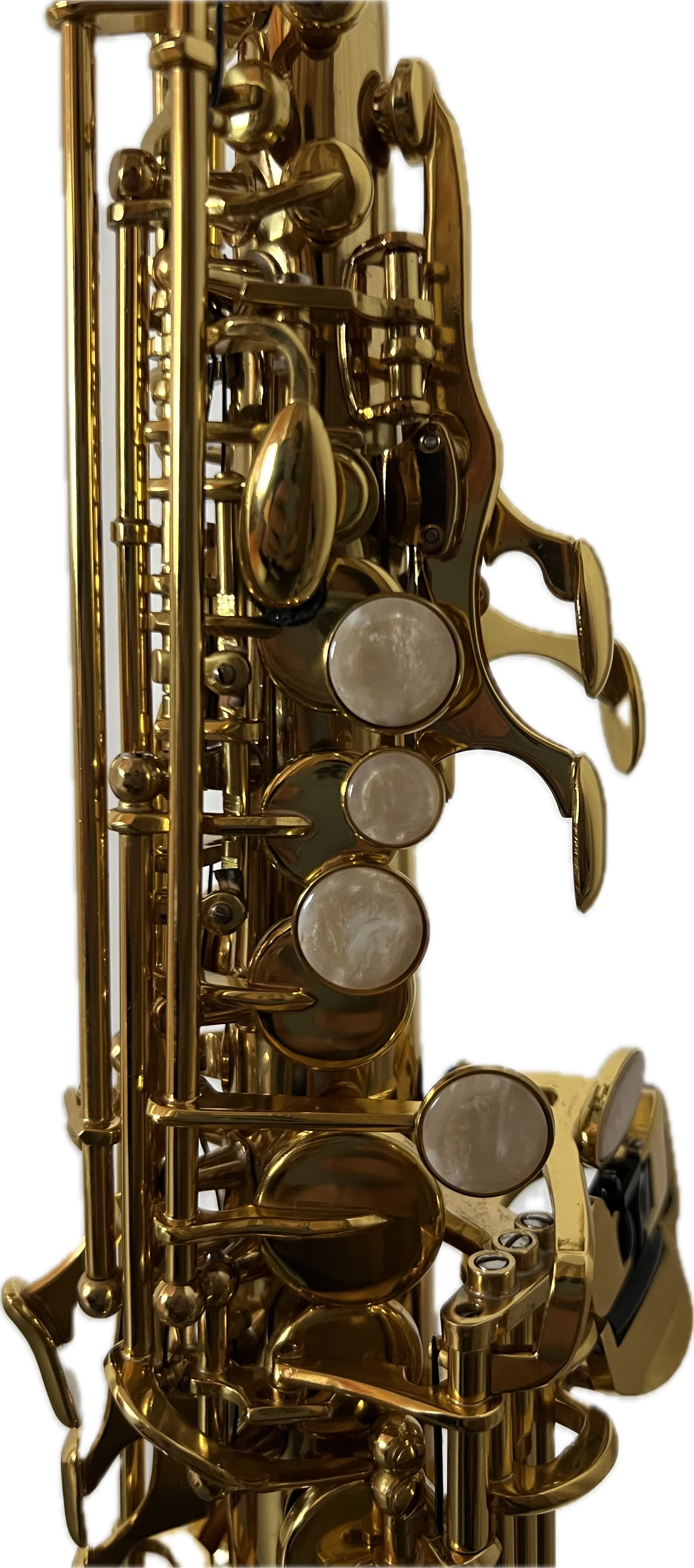 Saxofone Cadence Soprano - SaxShop - A casa do Saxofonista